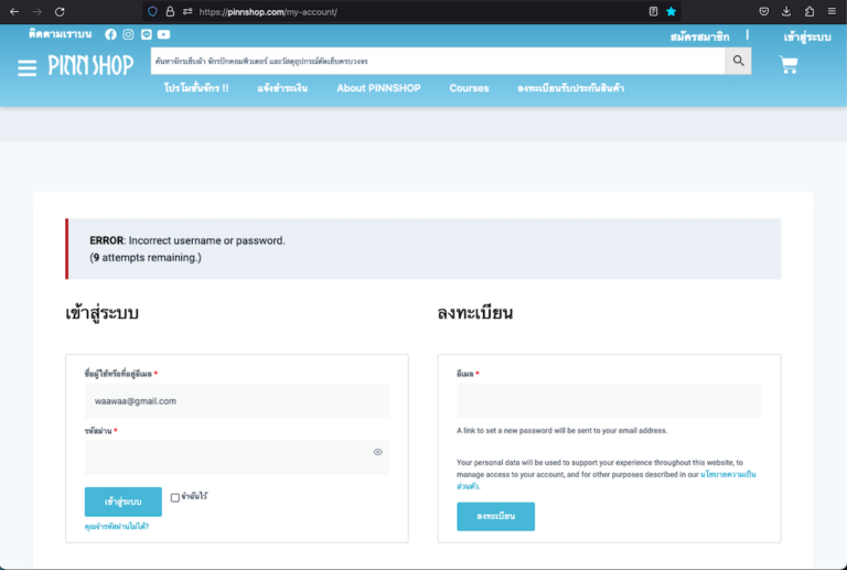 Guide | Online Course – PinnShop